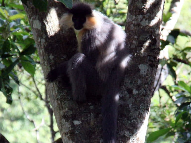 What to see in East Bhutan - Bhutan Homestay